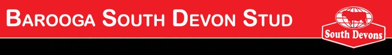 Barooga South Devons