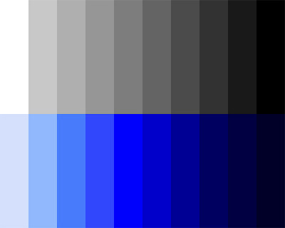 RCTC-Color-Photo: Monochromatic Value Scale