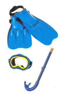 Beach Necessities 2010-2011