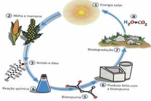 A biodegradação e compostagem dos biopolimeros ~ Bioplastic News