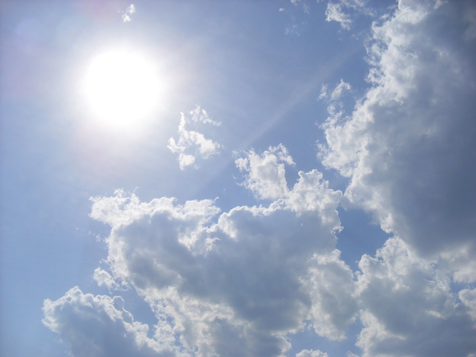 Everyday 's a GiFT: Its a Sunny sunny Day~ Everyday 's a GiFT: Its a Sunny sunny Day~