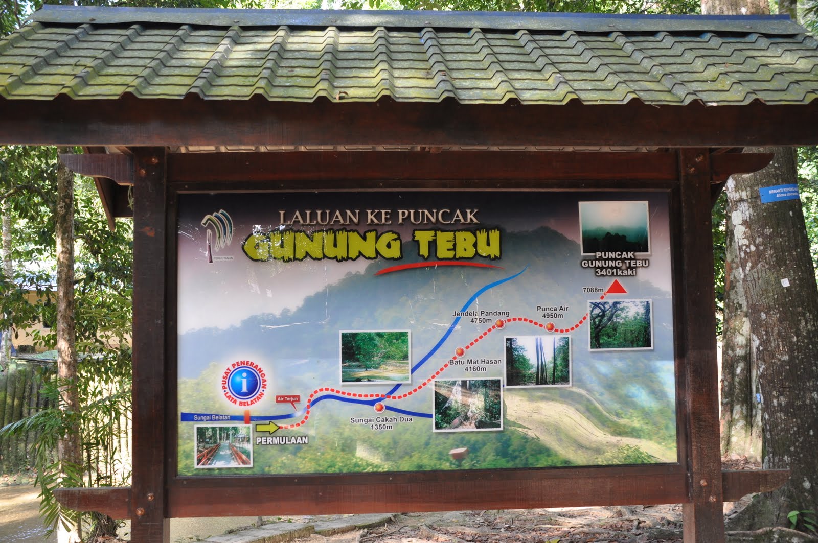 Tim Osman: Mountain Hiking: Gunung Tebu