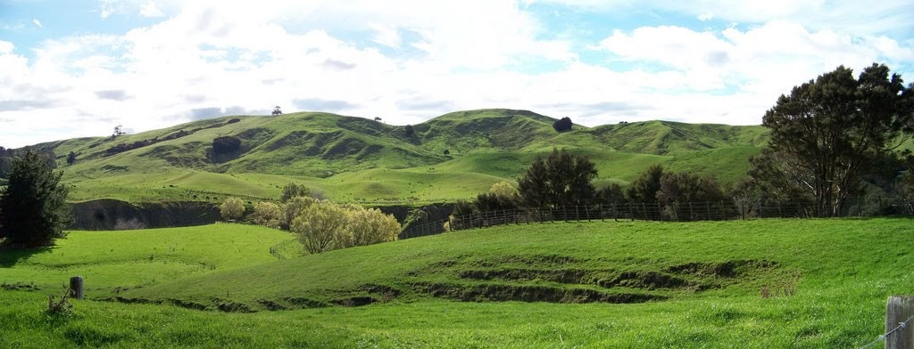 Beautiful Nature: Taumata whakatangihanga koauau o tamatea turi ...