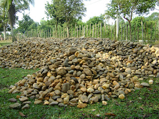 CV. GAGAK JAO: Batu Mangga