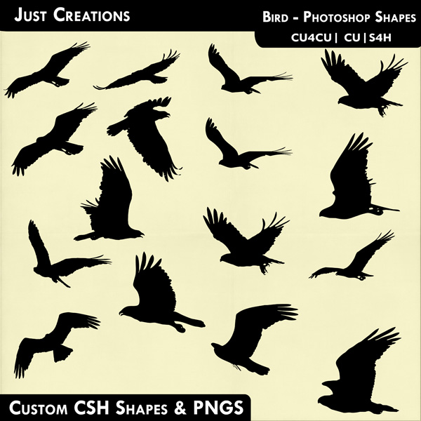 Photoshop Bird Shapes & Full Size PNGS Freebie on my blog ...