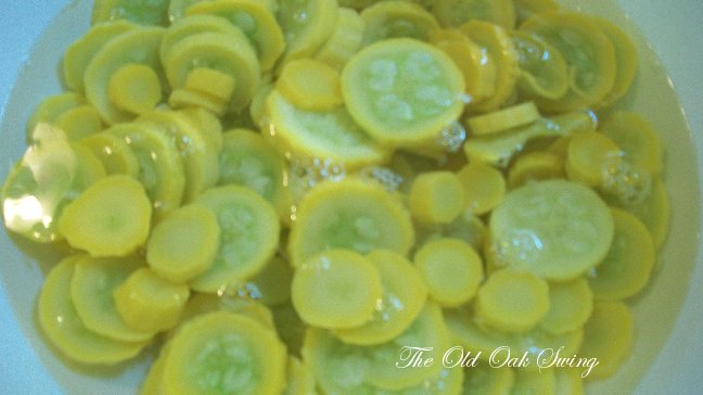 The Old Oak Swing: Preserving The Harvest - Freezing Yellow Summer Squash