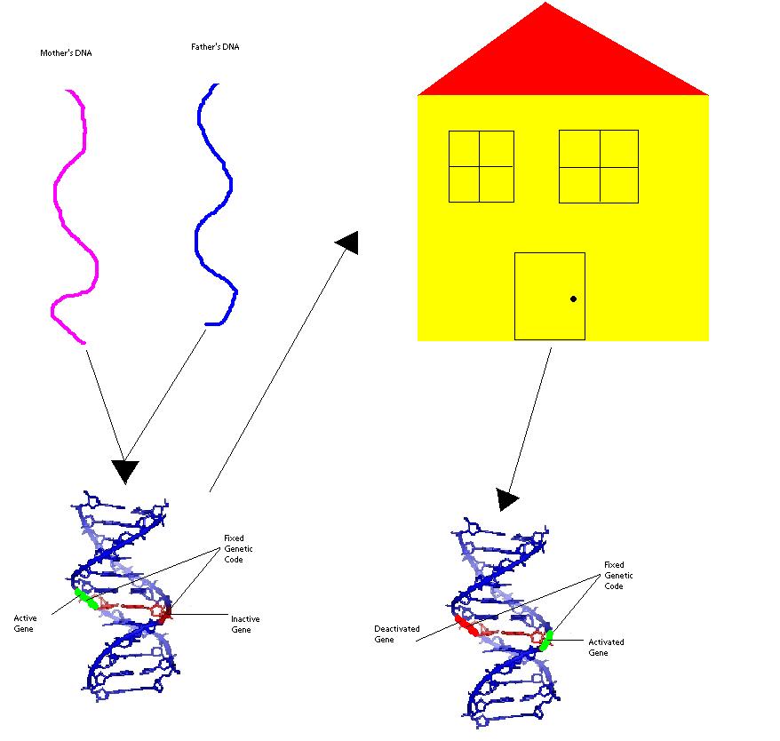 My Psychology Journal: Nature vs Nurture-the debate