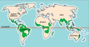 Nuestro aula: OBSERVAMOS EL MUNDO: ¿Dónde está la selva?