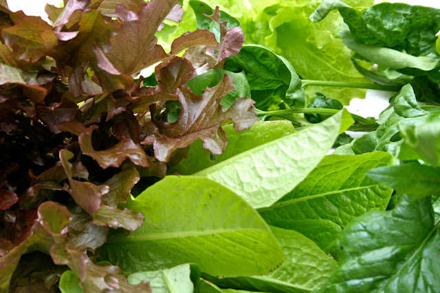 The Polished Pebble: Organic Vegetable Garden: Ojai