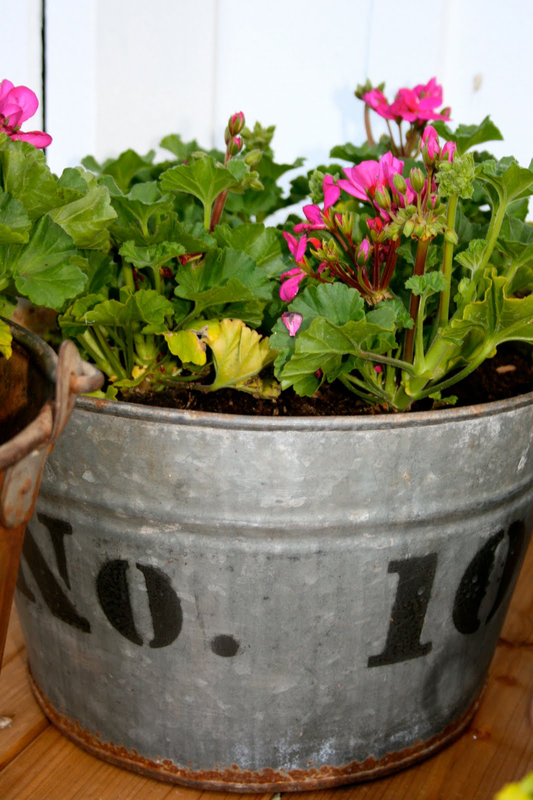 The Polished Pebble: The Tale of the Five Buckets