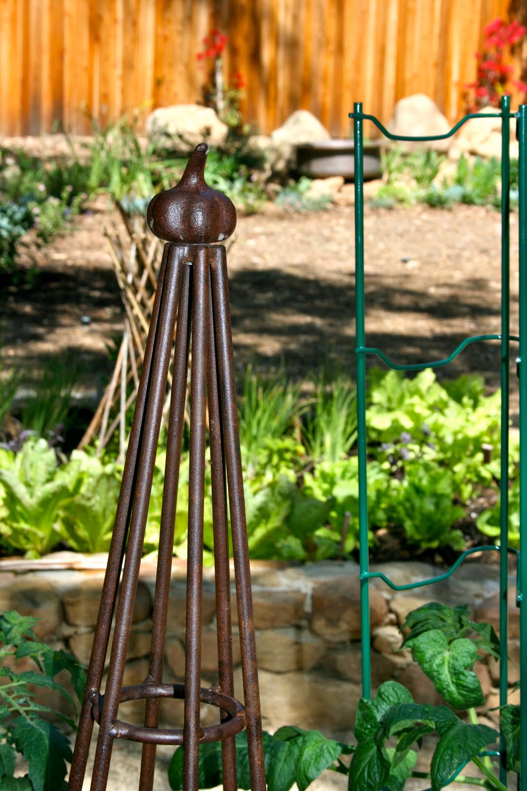 The Polished Pebble: Vegetable Garden Ideas