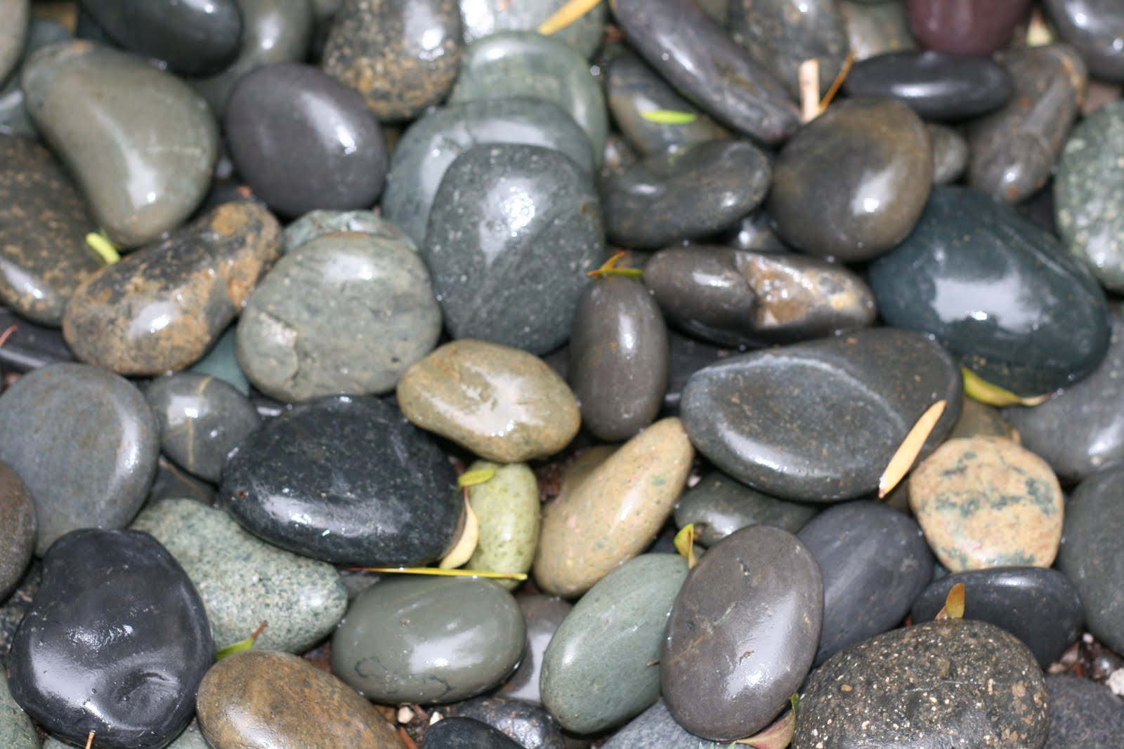 The Polished Pebble: What Inspires You?