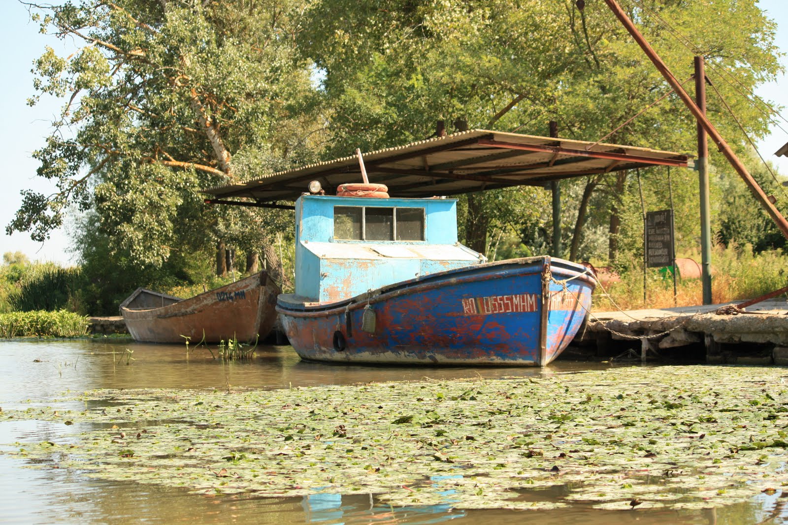 Ilyen a természetünk: Madárlátta Duna-delta