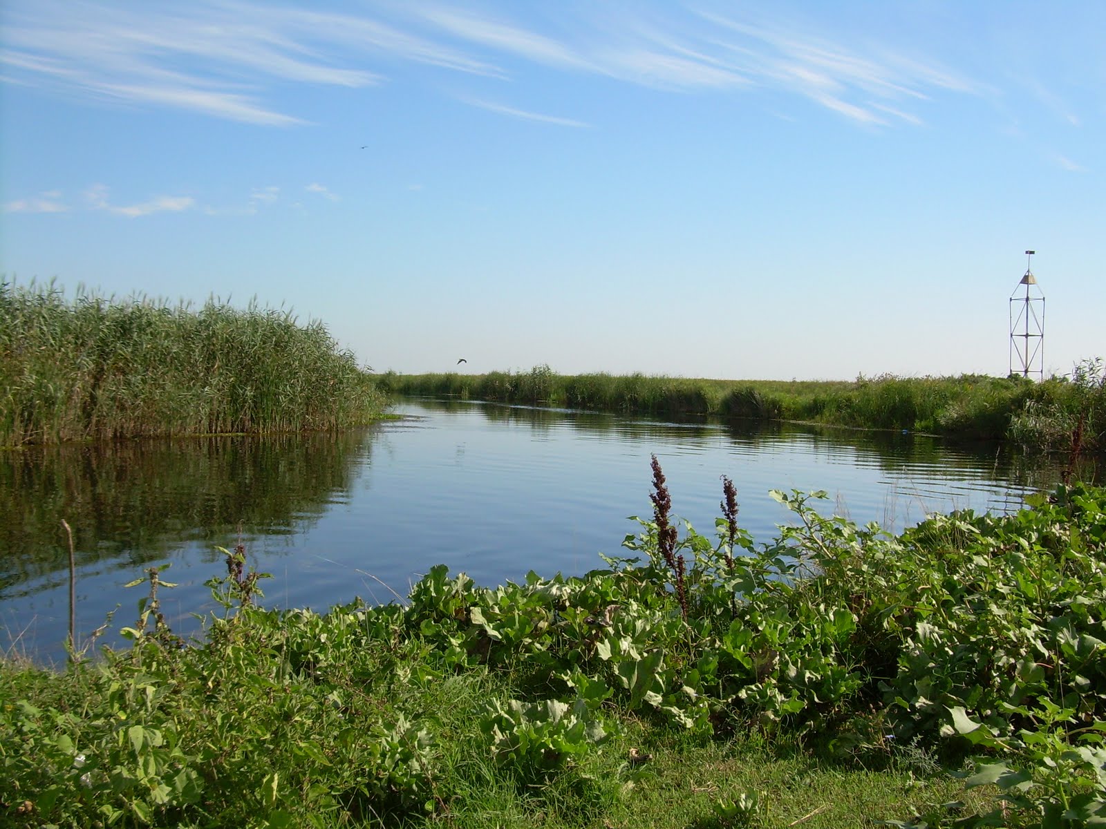 Ilyen a természetünk: Madárlátta Duna-delta