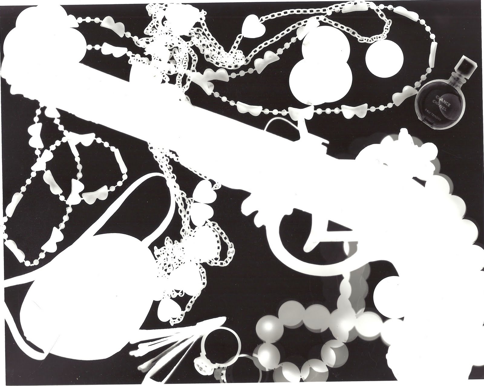 Jillian Schantz Photography: Photograms