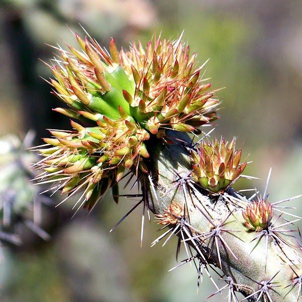 Other Homes and Gardens: April 2010