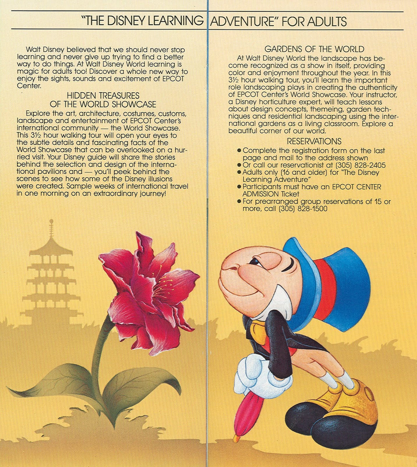 Disney Vacation Kingdom: Wonders of Walt Disney World Brochure