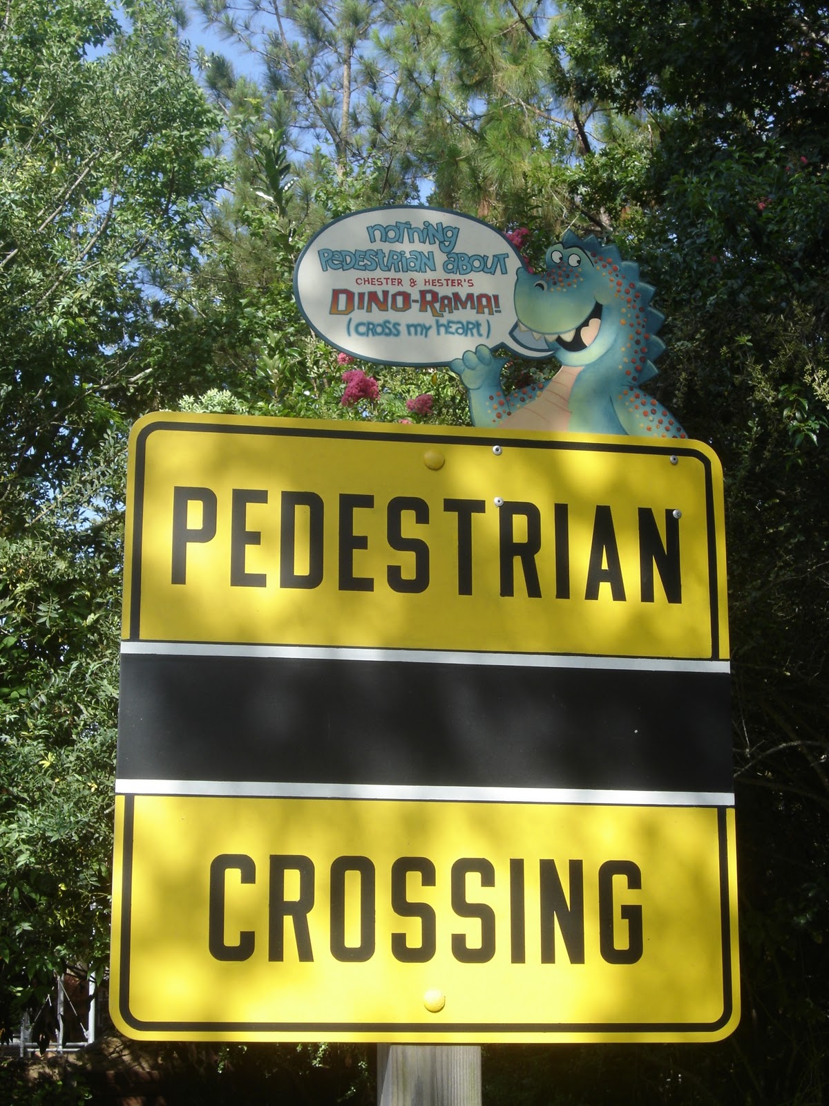 Disney Vacation Kingdom: Dinoland Signs