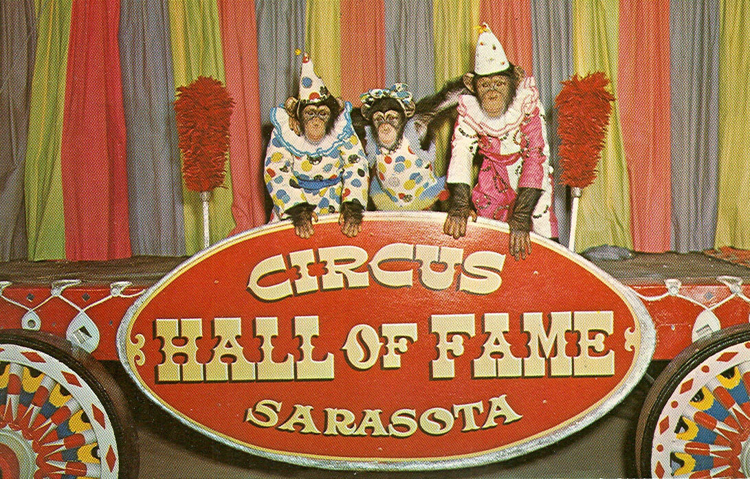 Vintage Travel Postcards: Circus Hall Of Fame