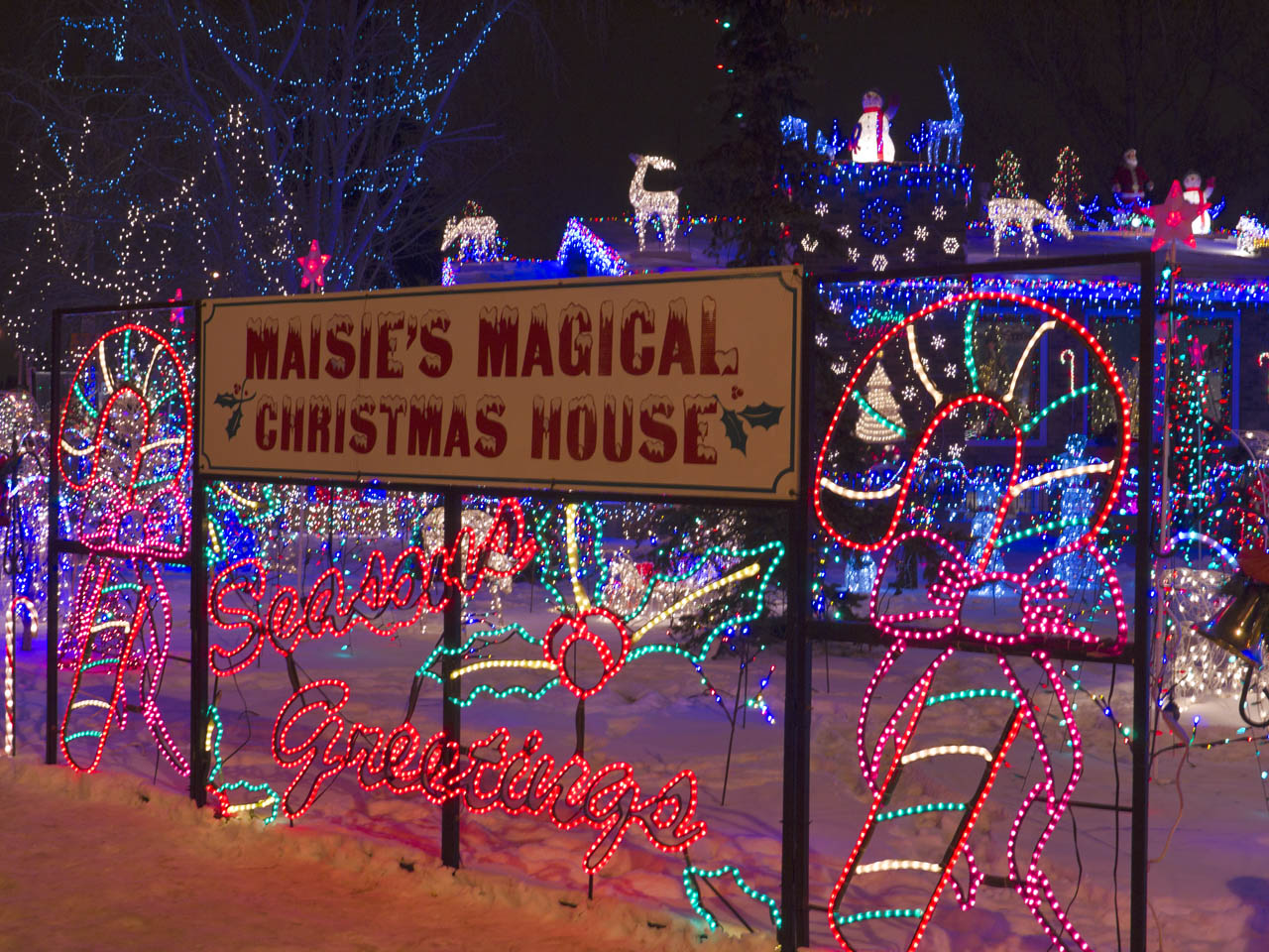 Edmonton Christmas Lights: 9619-144 Avenue