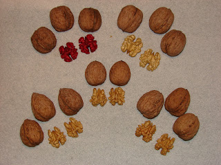 Neighbors: Walnut varieties