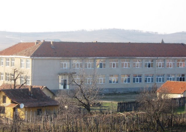 Comuna Rogova din judetul Mehedinti: Primaria comunei Rogova