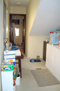 Desert Family: Qipco Compound