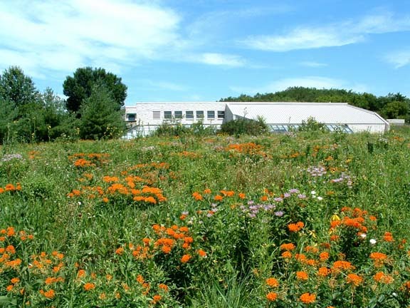 Northern Illinois Homeschool Monthly: Spring Valley Nature Center and ...