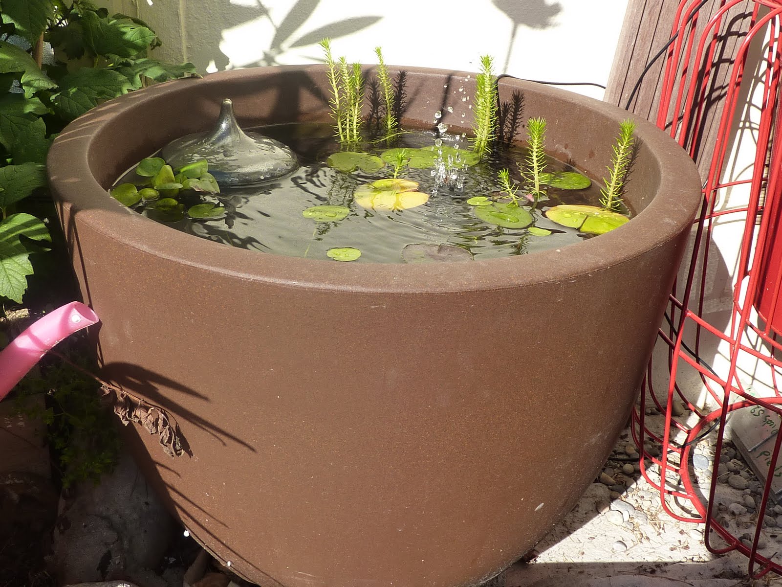 DIY : fabriquer un mini bassin aquatique! - Initiales GG ...