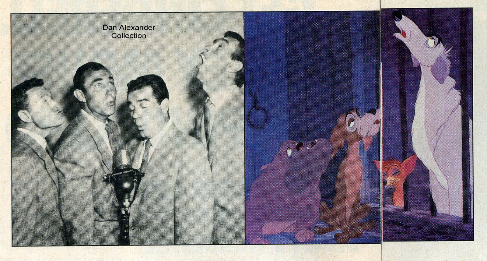 Dan Alexander Dizmentia: Live Action Lady And The Tramp: The Real Life ...