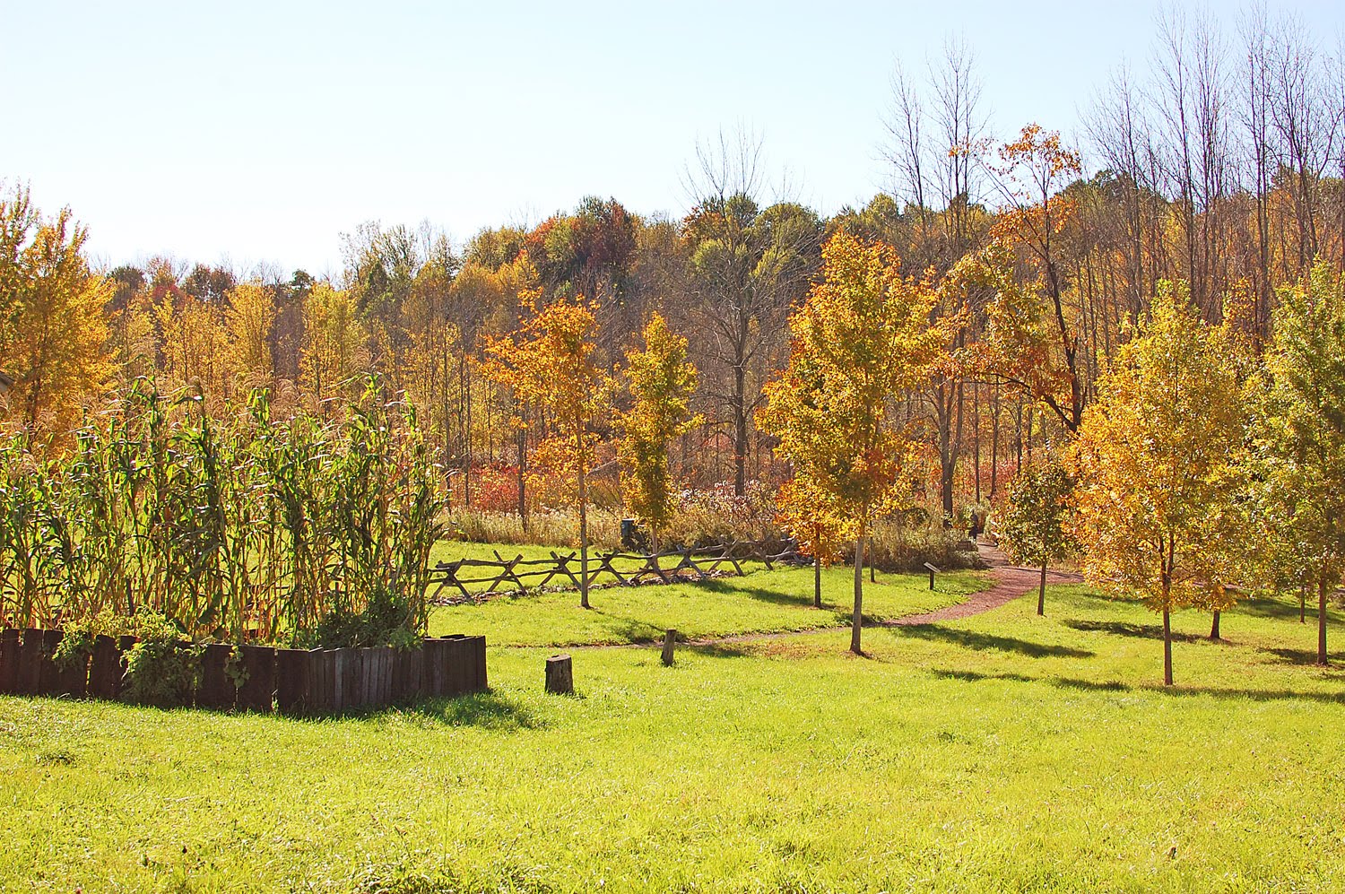 Retro Plants: Sacred Grove