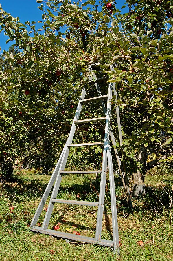 Art in the Garden - Ladder Art