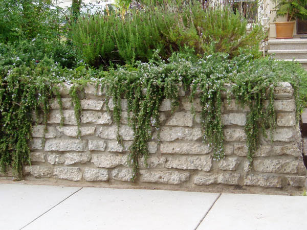 1000+ images about Hardscaping With Recycled Concrete on Pinterest ...