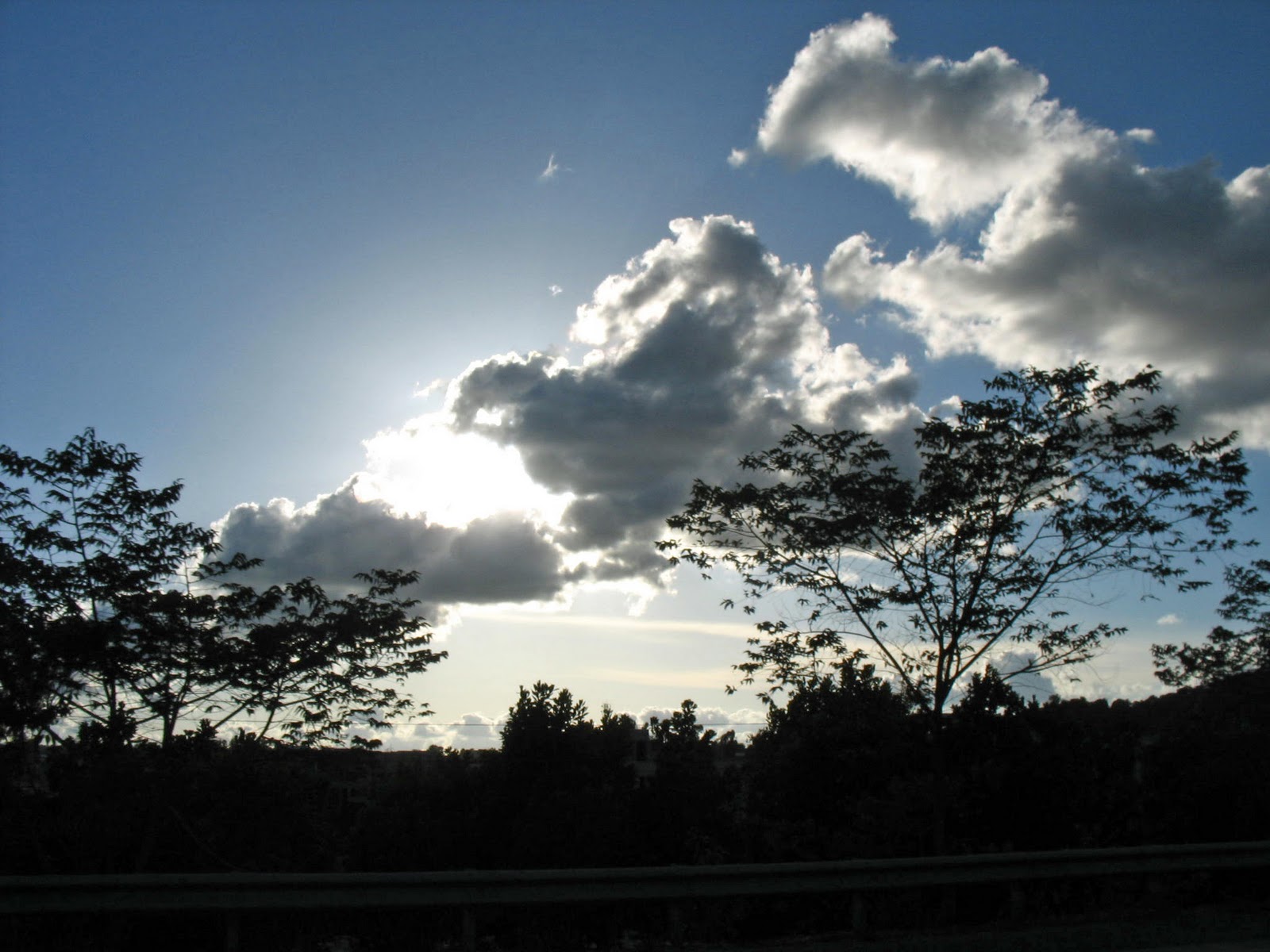 Stock Pictures: Clouds, the Sun and Trees