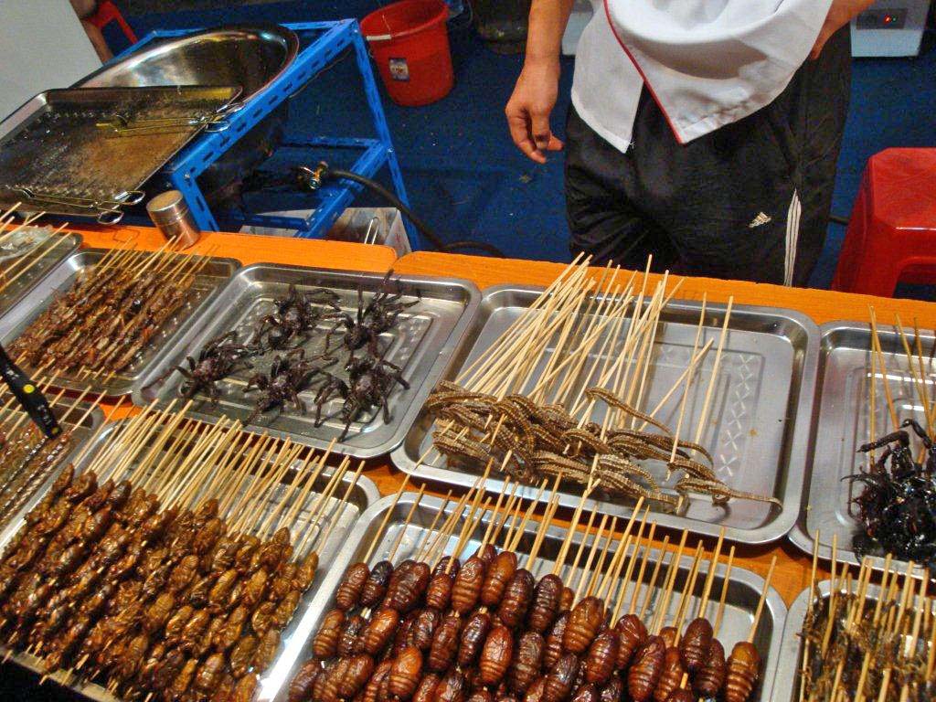Stock Pictures: Fried and roasted insects