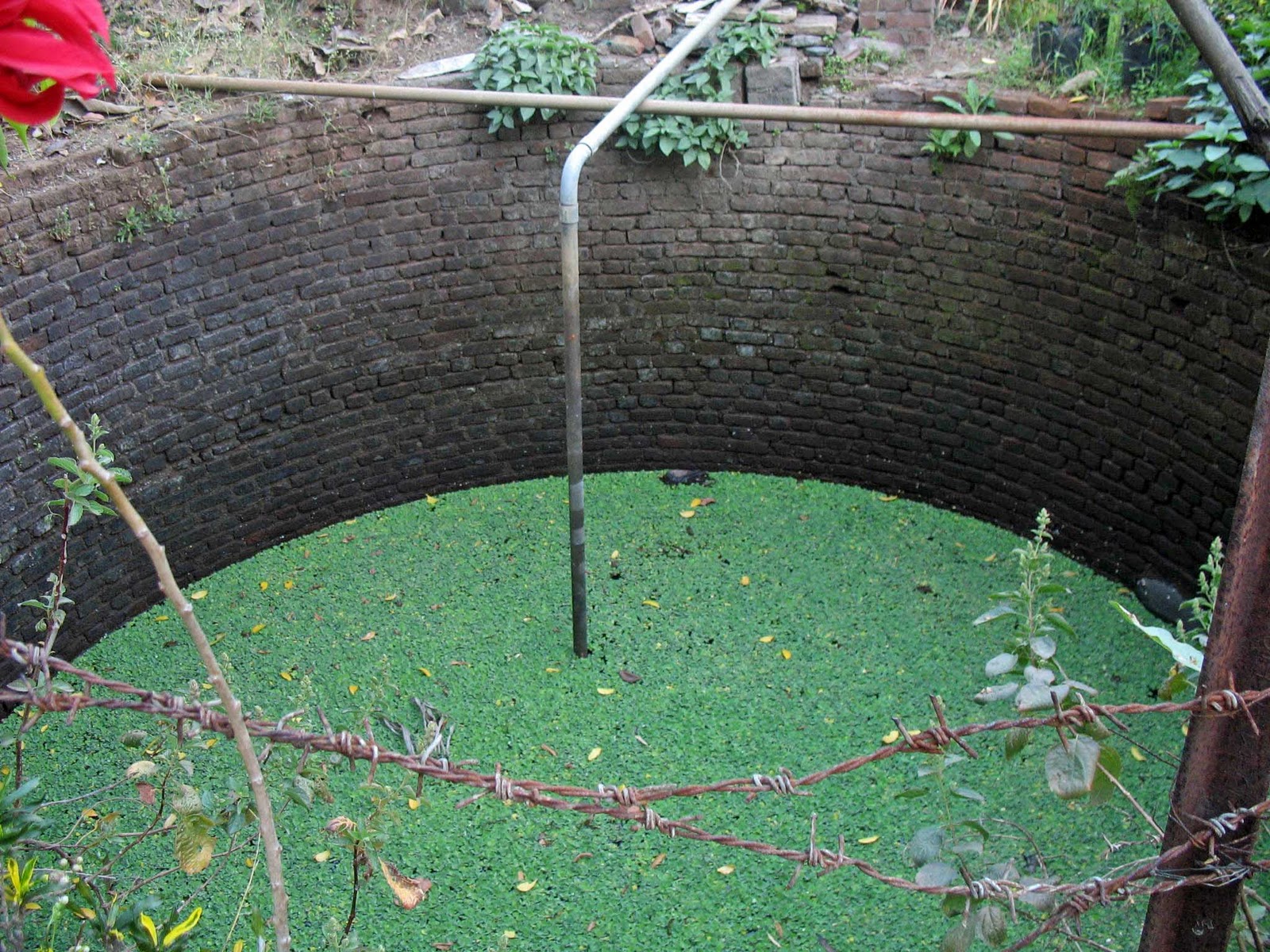 Stock Pictures: Inside of a water well