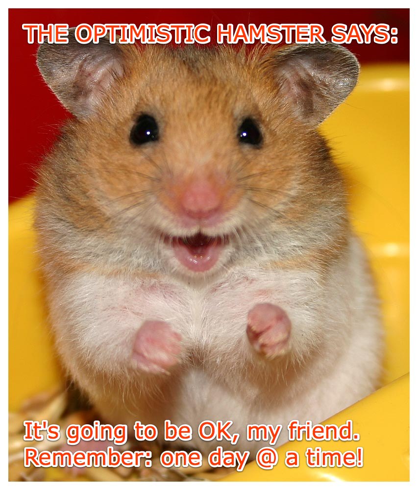 Southern Inspiration: Tuesday is full of possibilities!