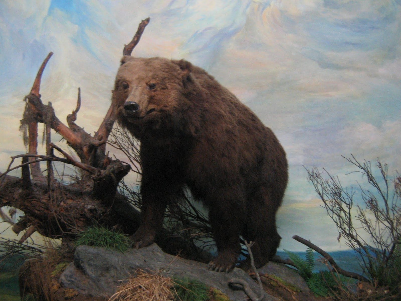 Funf!!!!: Bankfurt an Main (En Frankfurt)