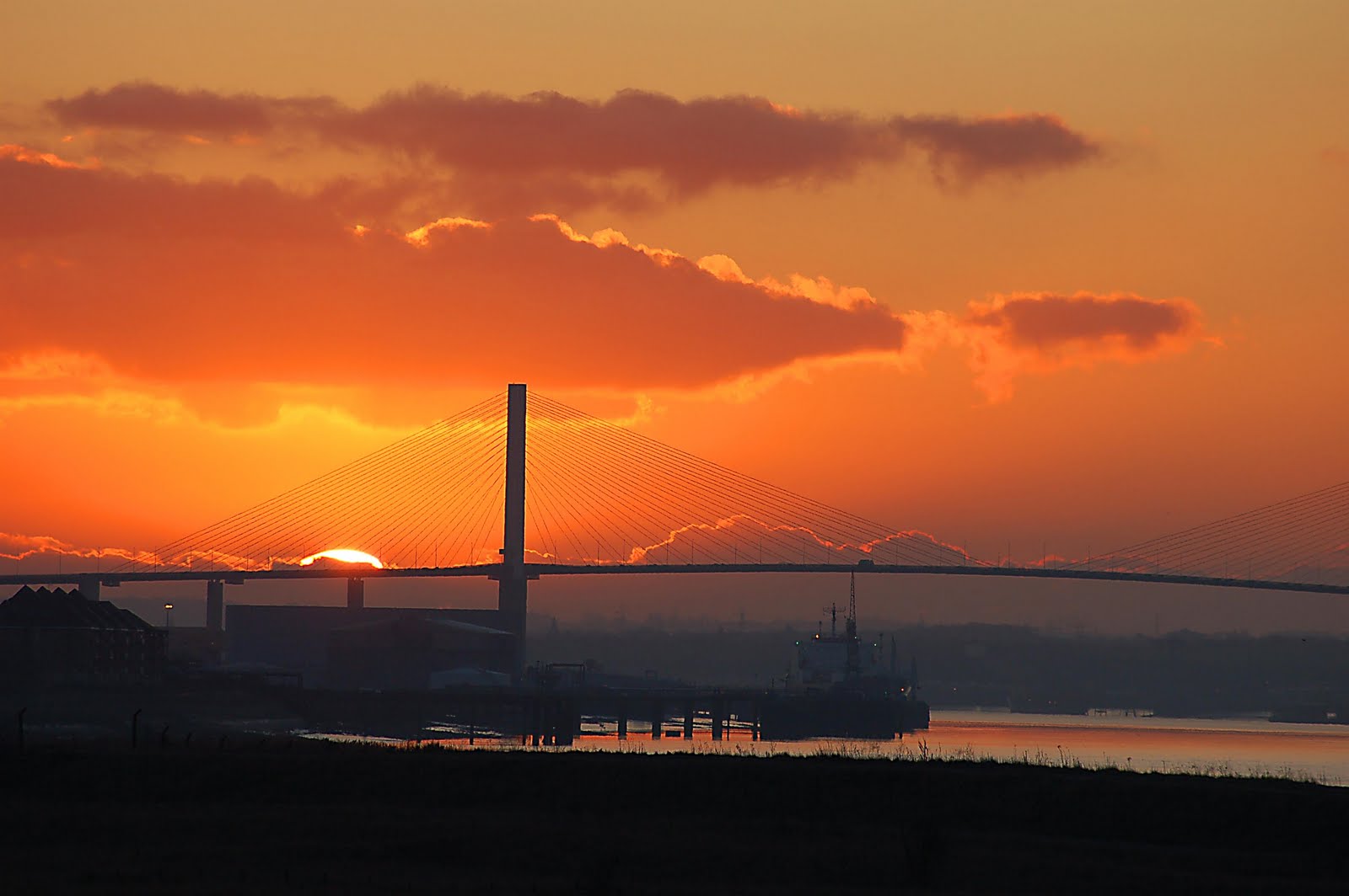 Brian's birding blog: Older photographs