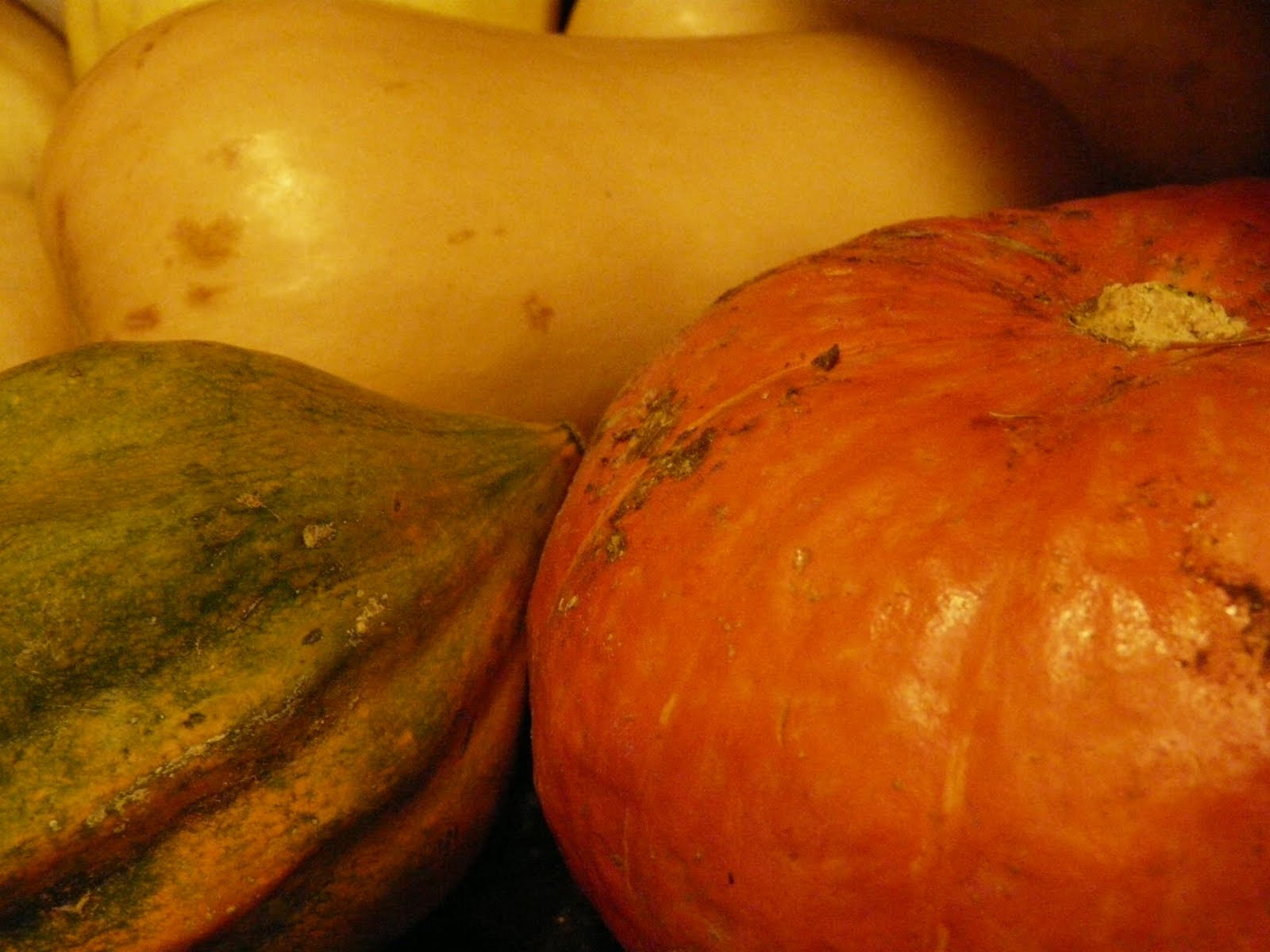 Autumn pumpkin recipe from Phinda in South Africa - Africa Adventure ...