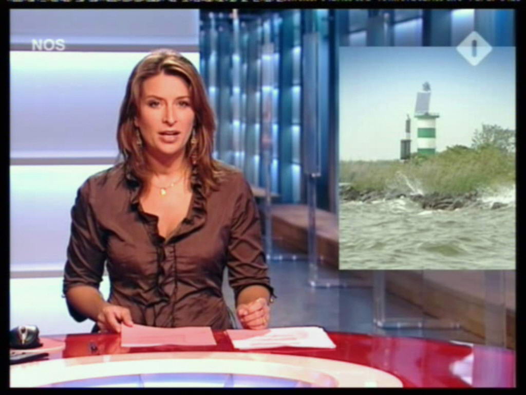 Sacha de Boer: januari 2010