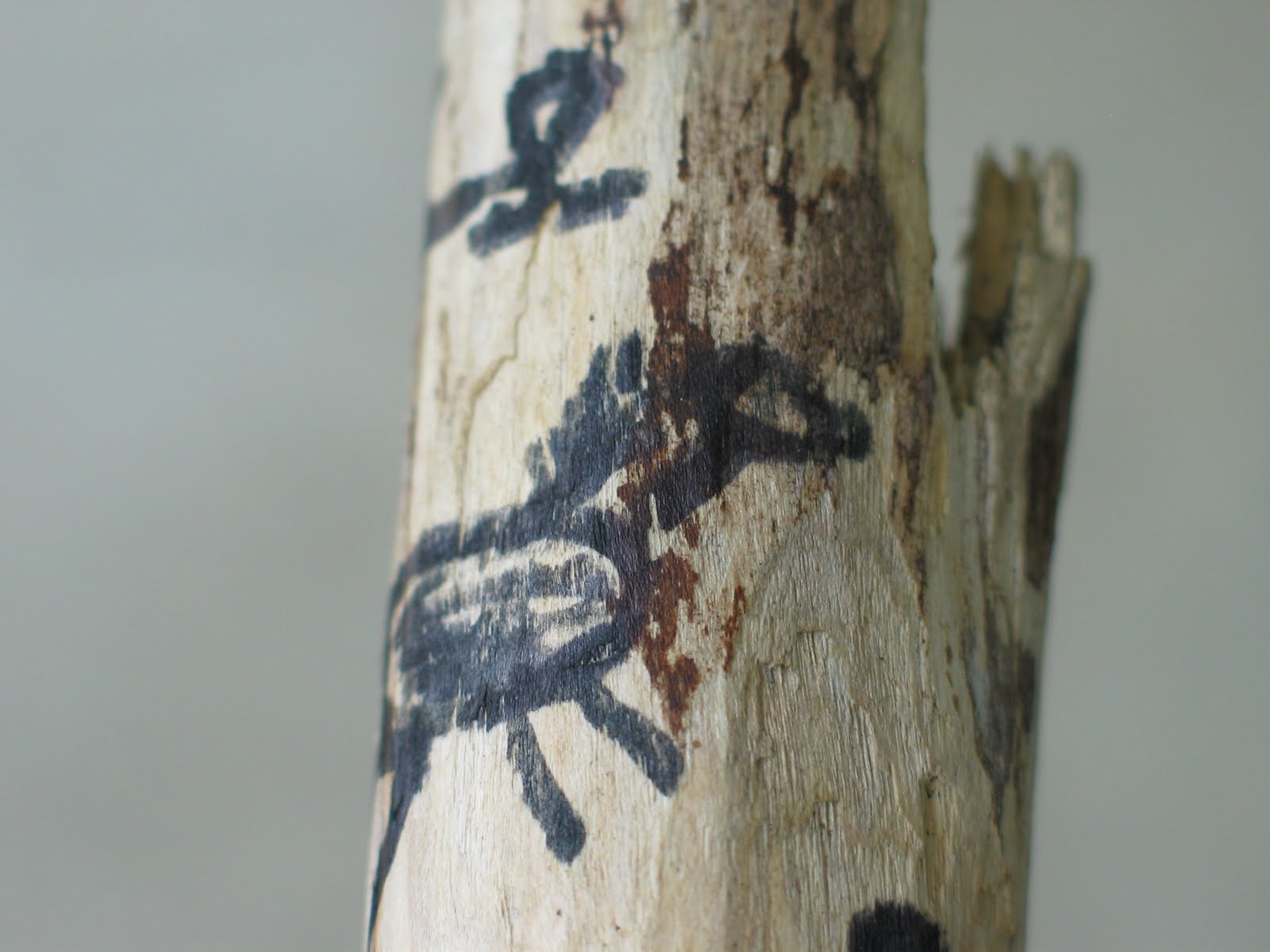 Butterfly Jungle: The Story Stick- Keeping A Record of the Ordinary Days