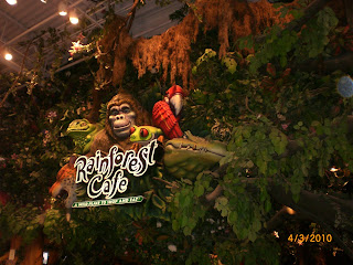 Visiting California: Rainforest Cafe