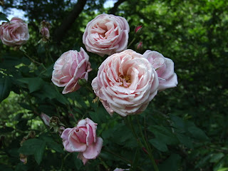 Dust & Corruption: Mysterious, Decadent, Spooky or Hidden DC, Part One