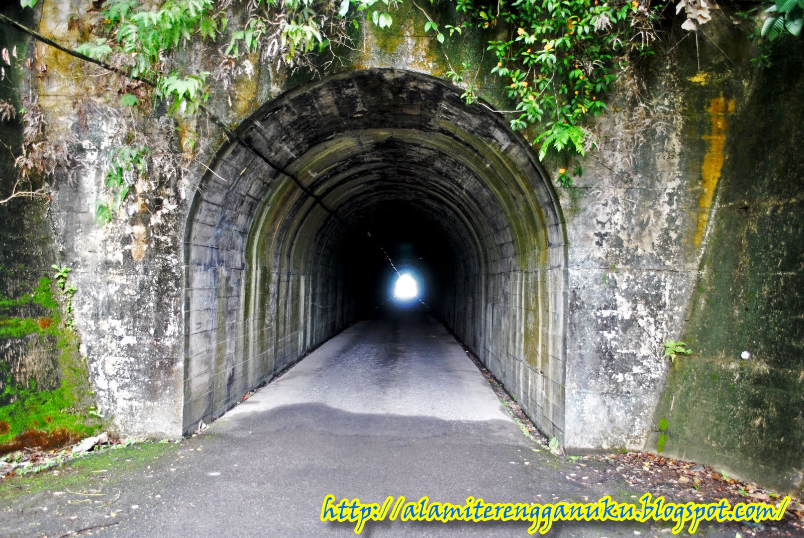 Alami Terengganu: Sejarah Bukit Tebuk, Dungun.