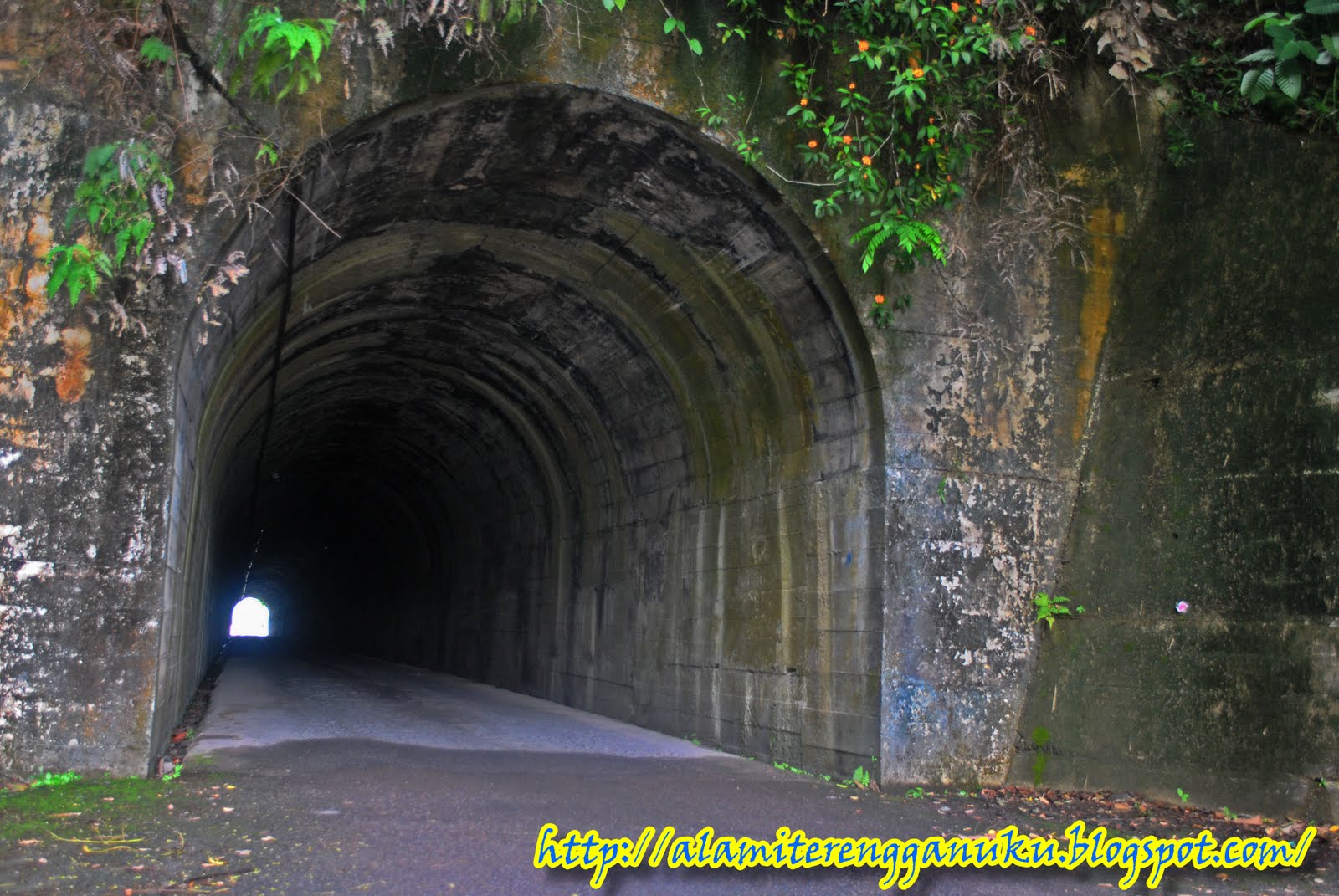 Alami Terengganu: Sejarah Bukit Tebuk, Dungun.