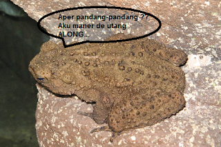 KATAK PURU boleh dimakan ??? | Princess MOMOY