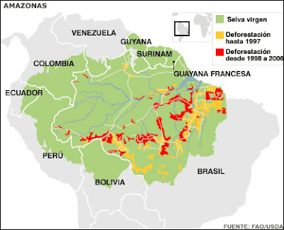 El corazon de la tierra: Cambios en el Amazonas (perdida de la ...