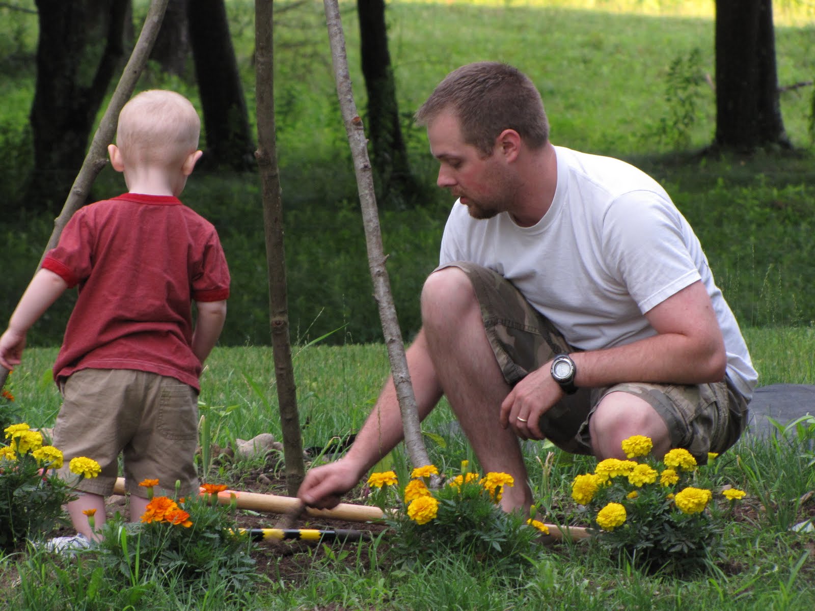 a little of this...: Men at Work {in the garden}