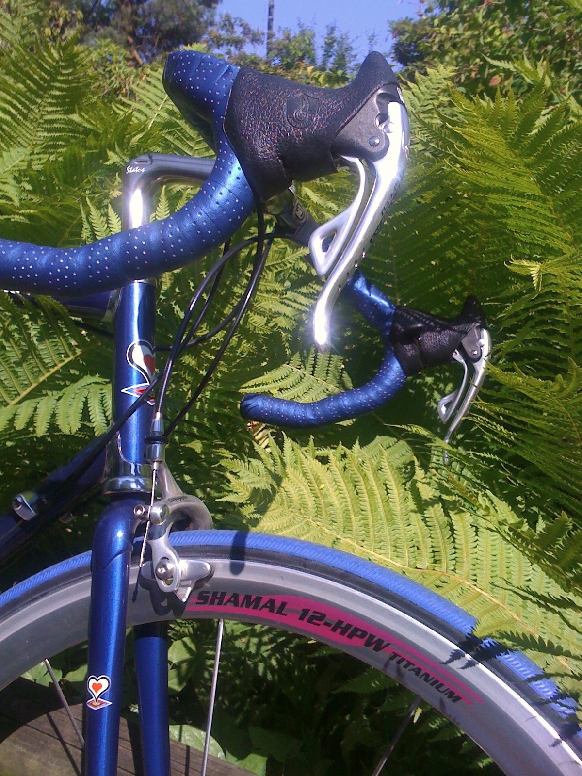 De Rosa Bicycles - BIKEADELIC: De Rosa Neo Primato from Zurich ...